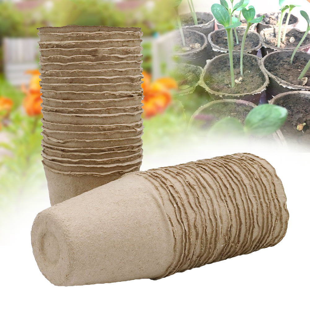 Biodegradable - Pulp Pots for Plants – Etcetera Maldives - Tin ...